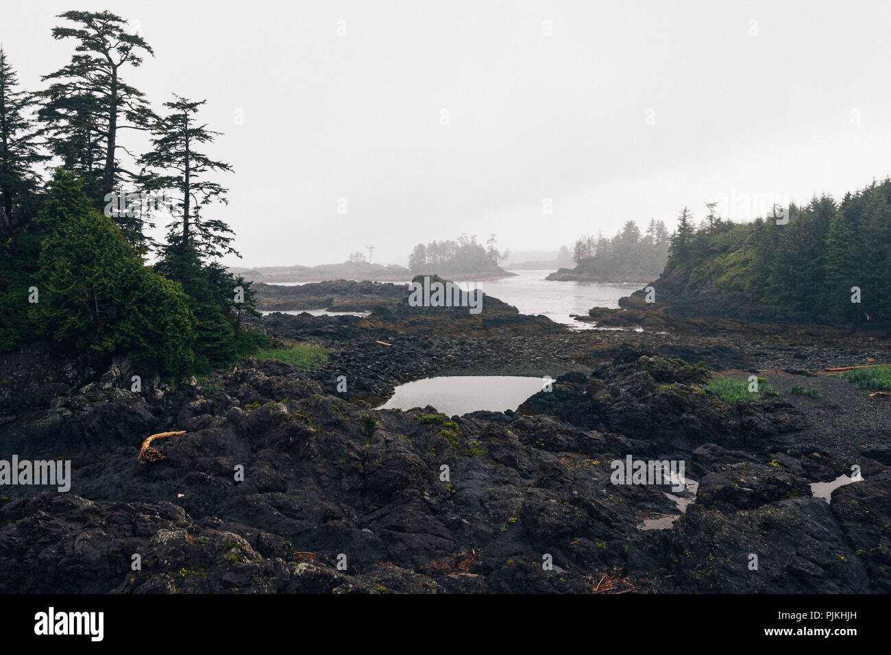 Northwest coast vancouver island hi-res stock photography and images ...
