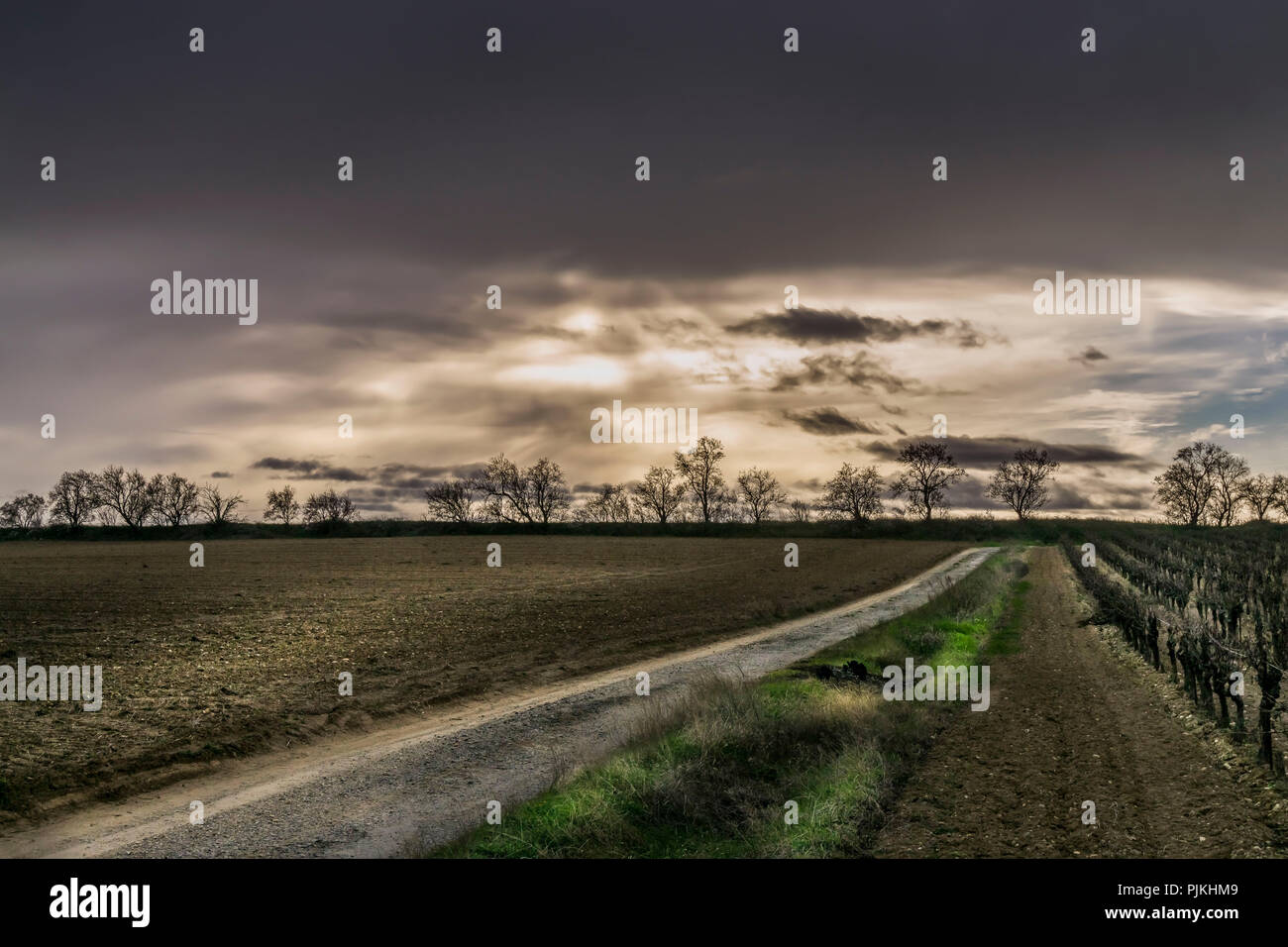 Road in the dark hi-res stock photography and images - Alamy