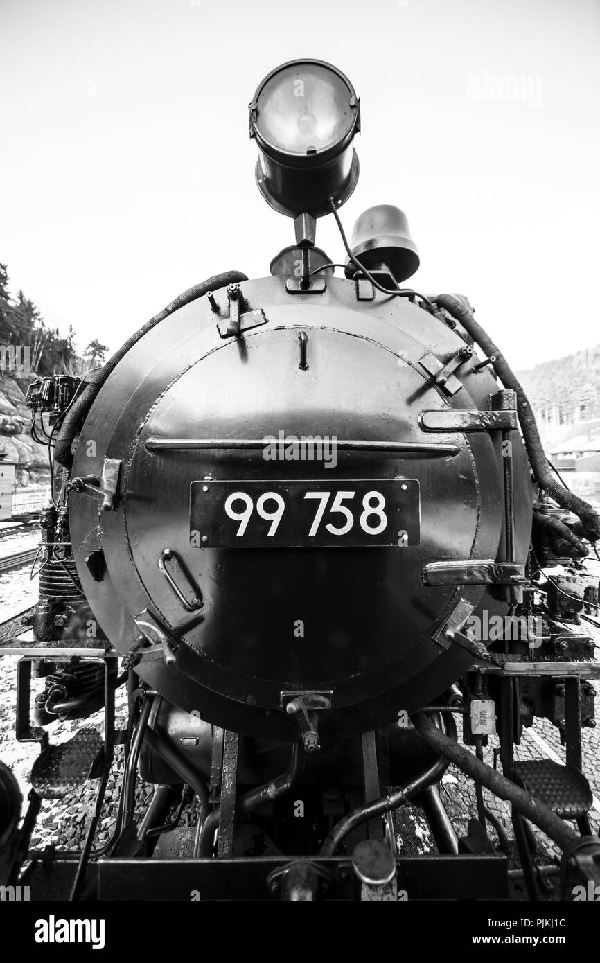 Germany, Saxony, Upper Lusatia, Oybin, steam locomotive, narrow-gauge ...