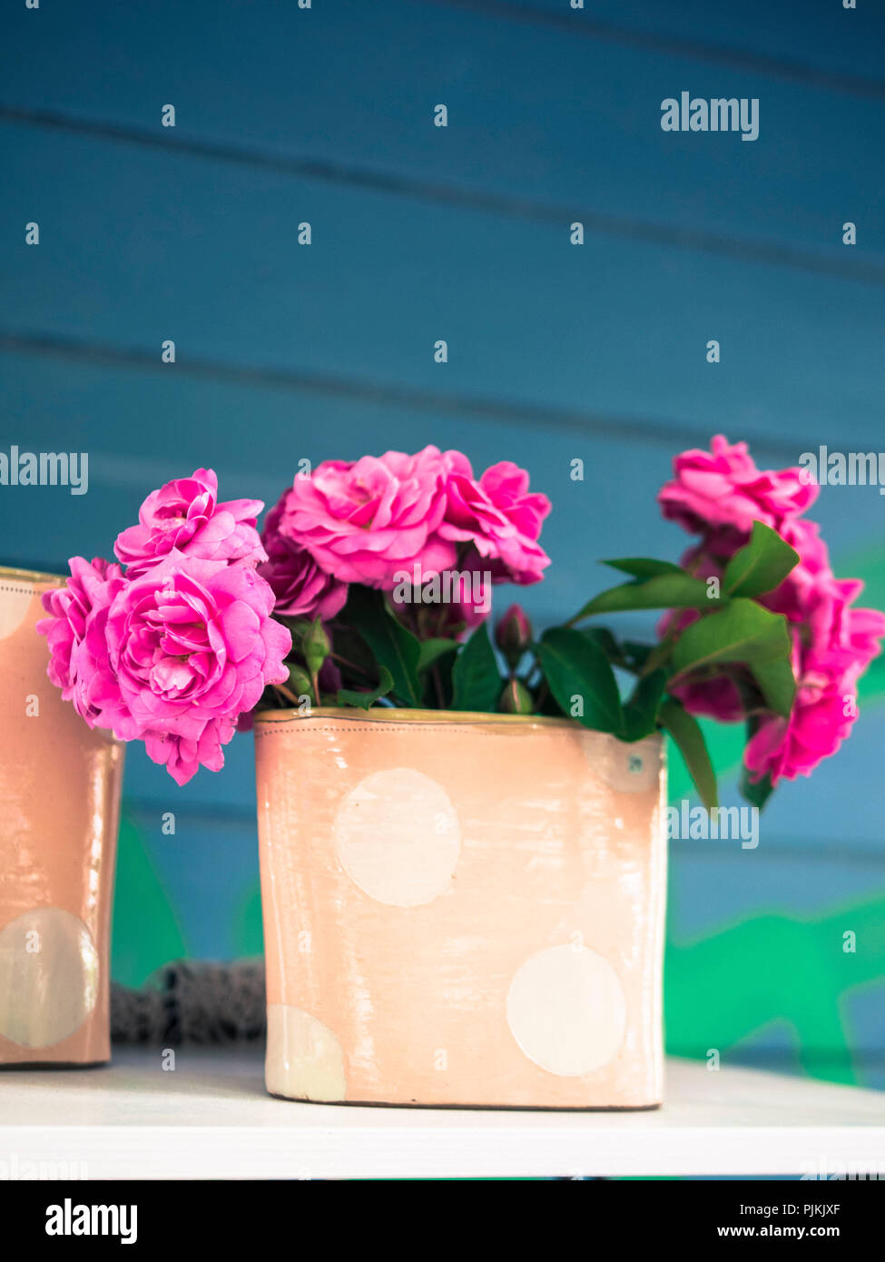 Colourful flowers in pot hi-res stock photography and images - Alamy
