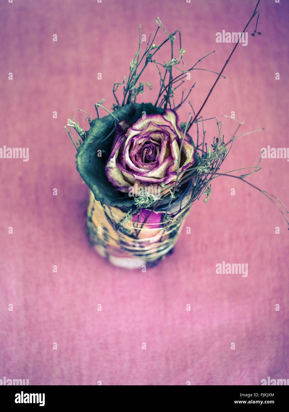 Dusky rose pink flowers hi-res stock photography and images - Alamy