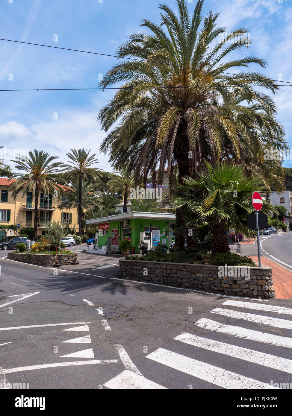 Crosswalk under palm trees hi-res stock photography and images - Alamy