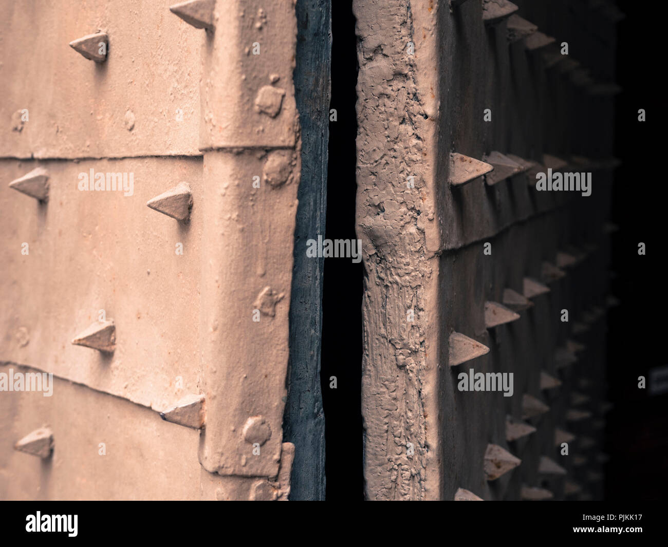 Defensive spikes hi-res stock photography and images - Alamy