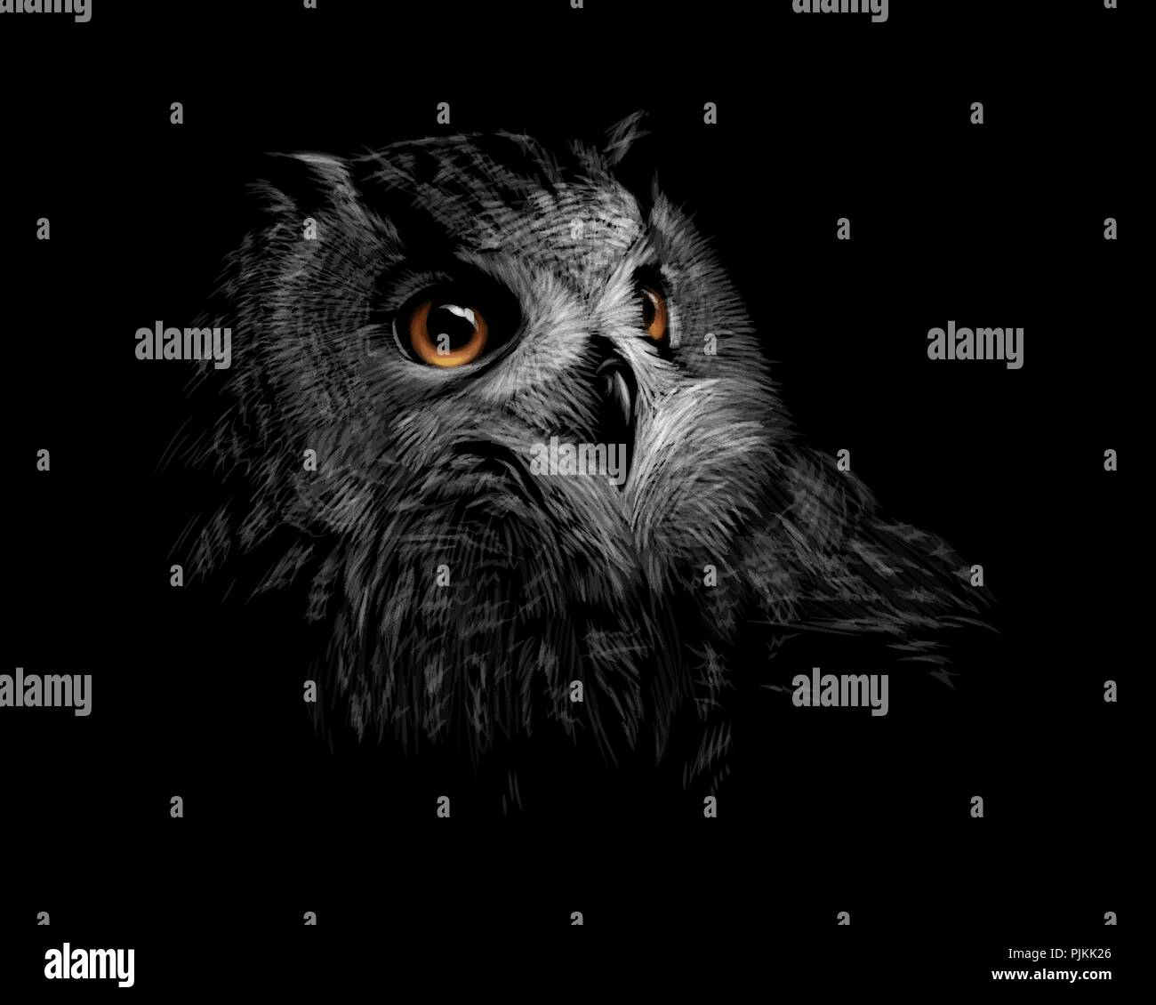 Long face bird Stock Vector Images - Alamy