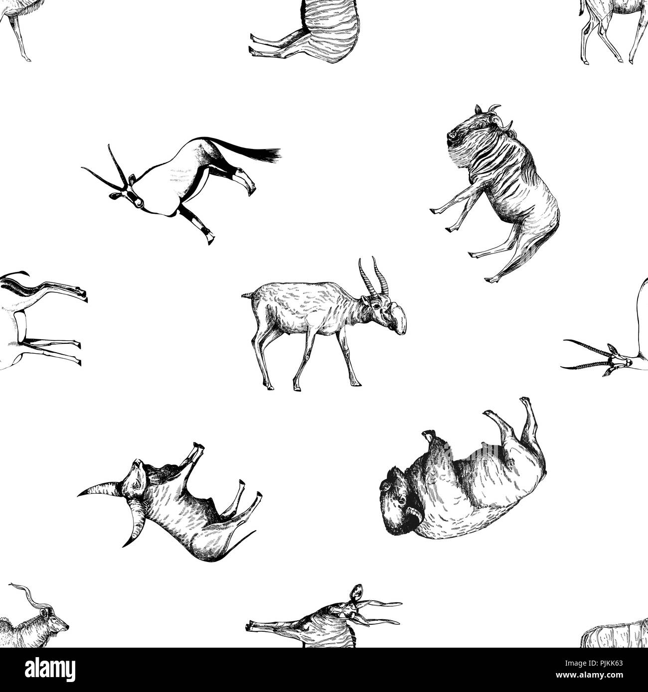 Seamless pattern of hand drawn sketch style ungulates isolated on white ...