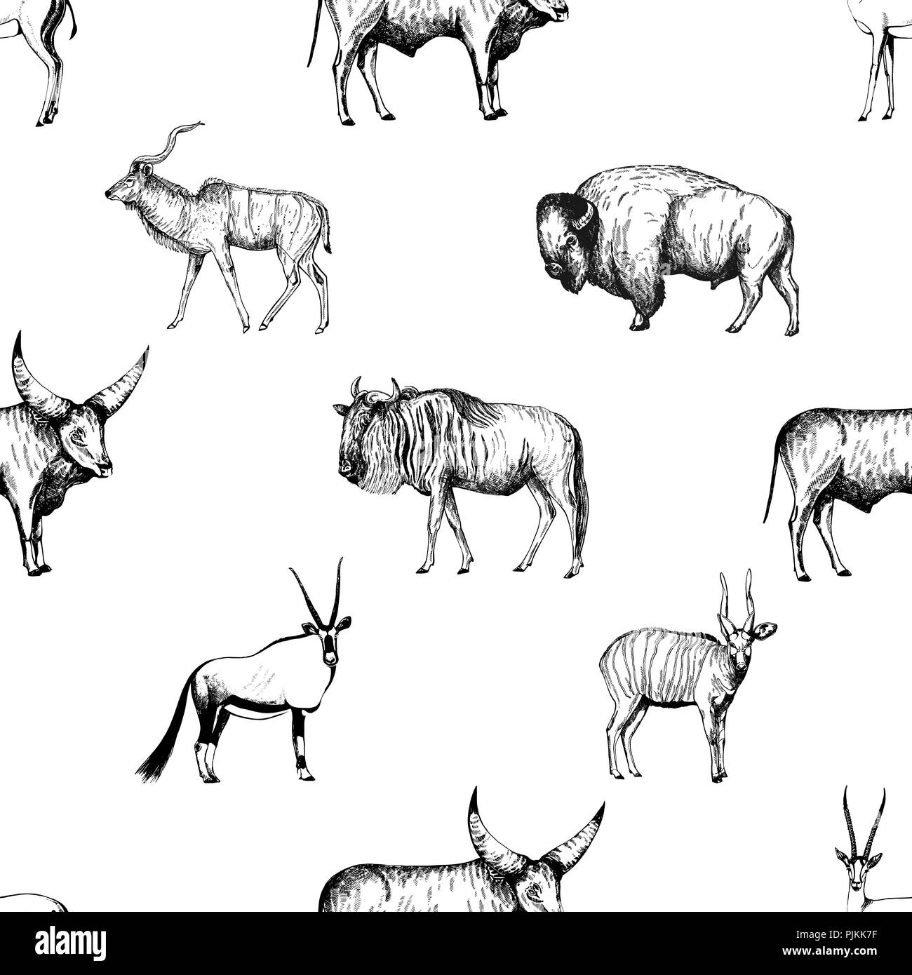 Seamless pattern of hand drawn sketch style ungulates isolated on white ...