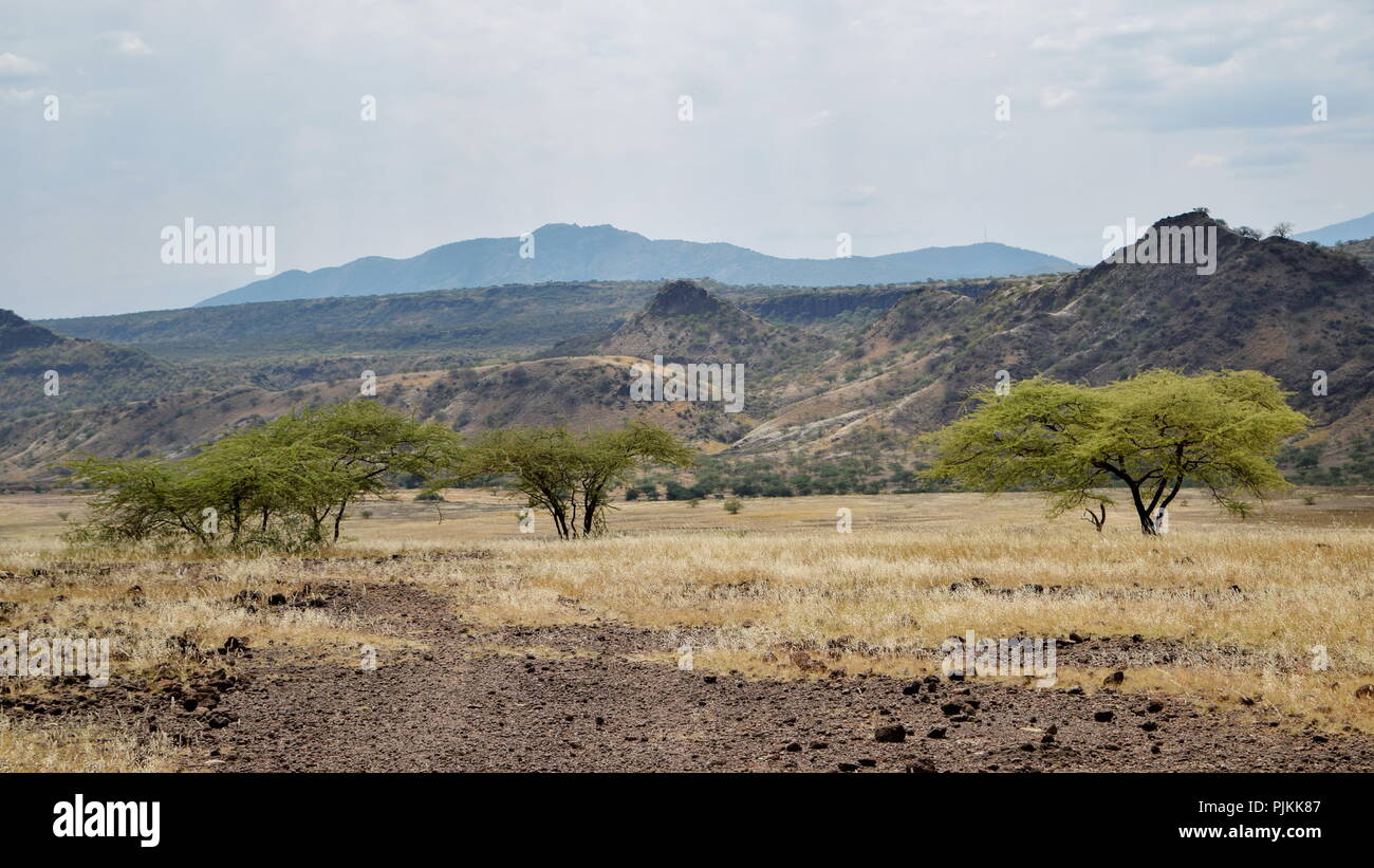 The arid landscapes of Lake Magadi, Kenya Stock Photo - Alamy