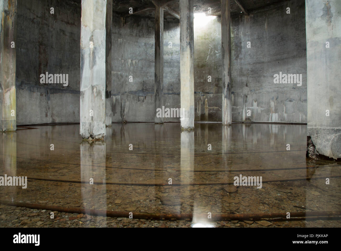 Iceland, Djupavik, Westfjords, former herring factory, tank for fish ...
