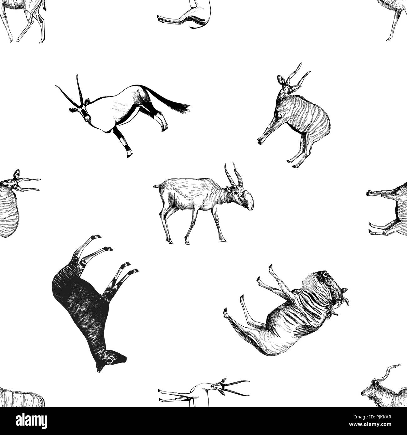Seamless pattern of hand drawn sketch style ungulates isolated on white ...