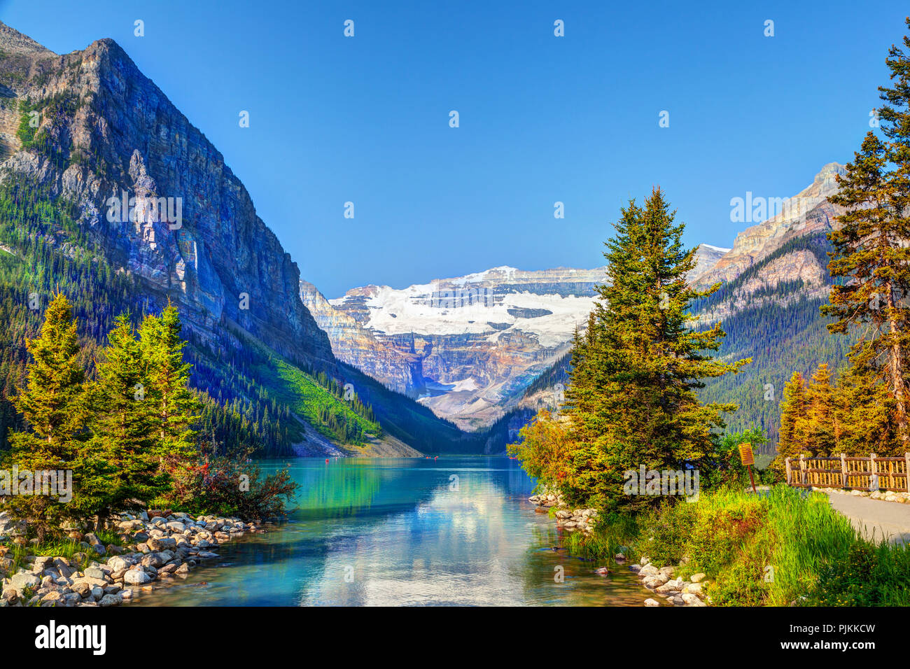 Pine trees on the shore of Lake Louise in Banff National Park with its ...
