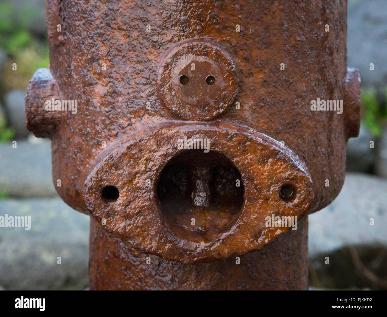 Iceland, junkyard, rusted fire hydrant, close-up, detail Stock Photo ...