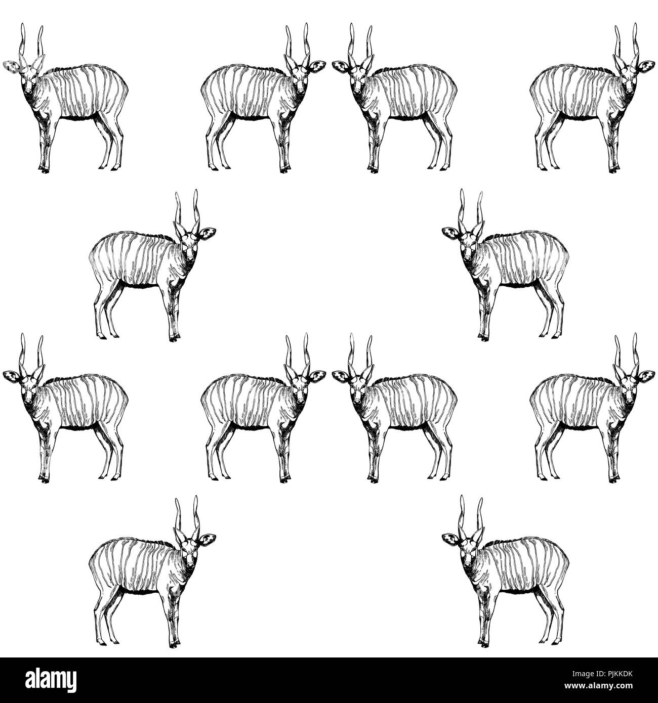 Seamless pattern of hand drawn sketch style bongo antelopes isolated on ...