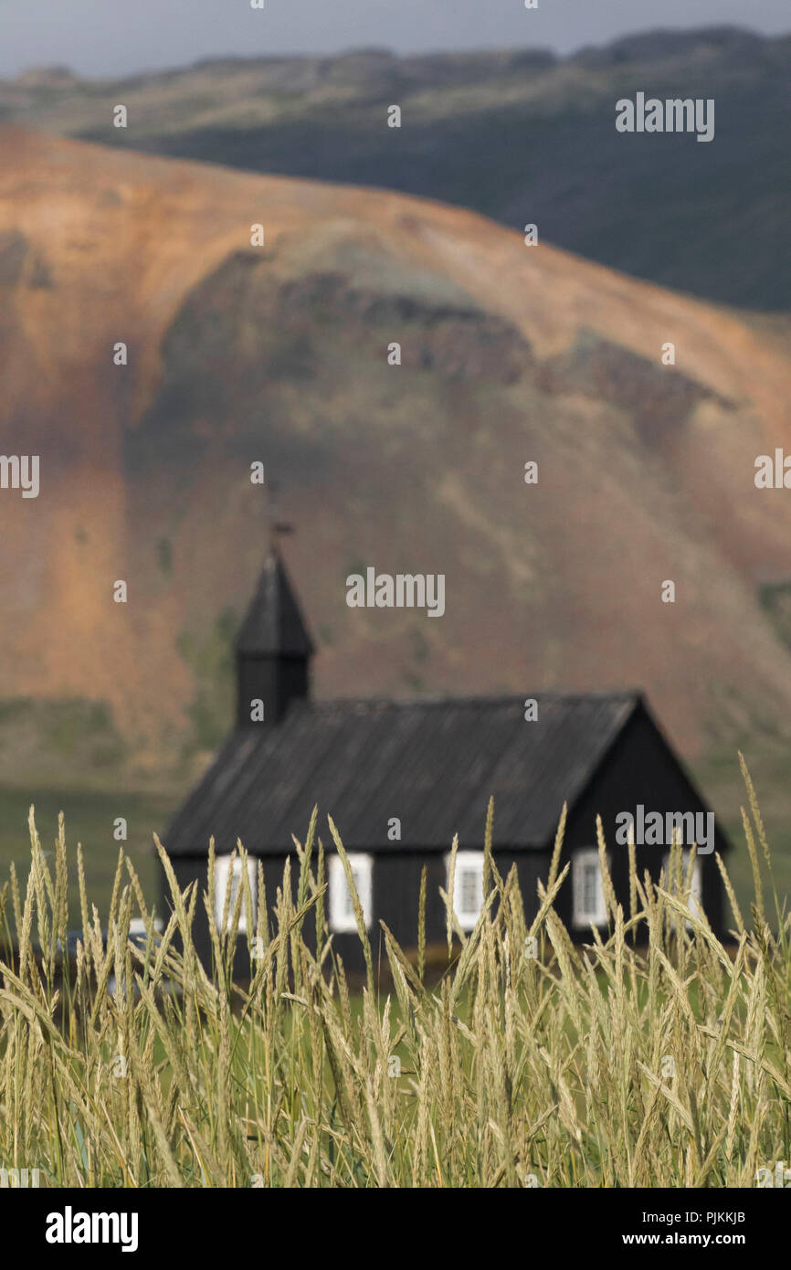 Iceland, Black Church at Budir, beach grass, colored mountains in the ...