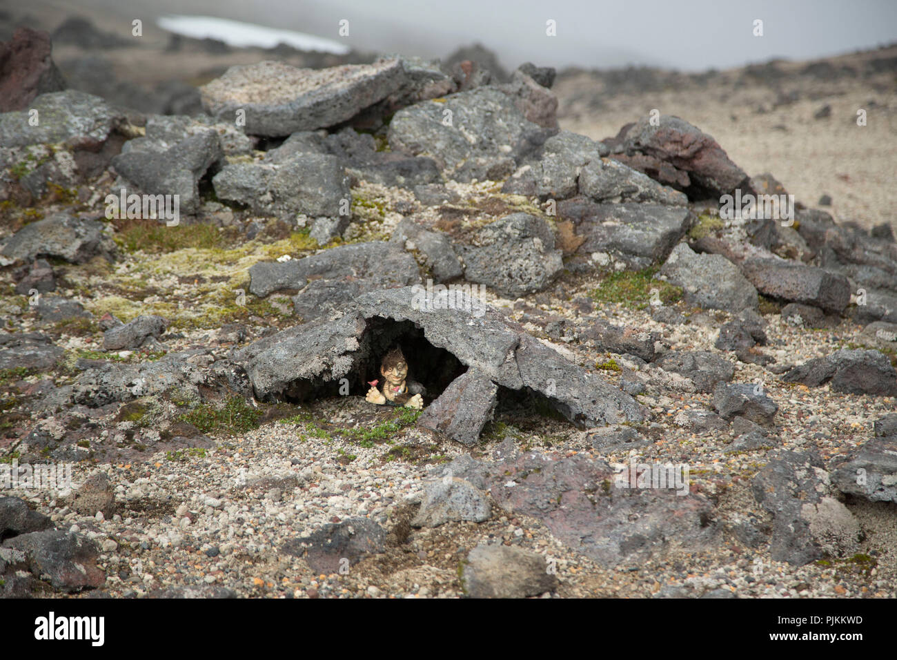 Iceland, troll, troll with two birds, lava field Stock Photo - Alamy