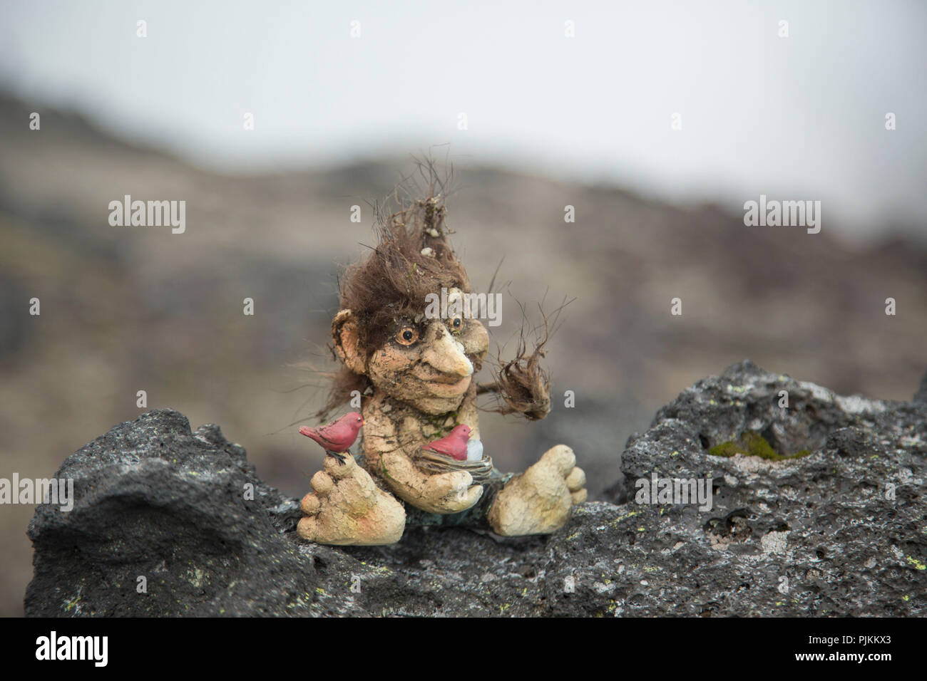 Iceland, troll with birds, lava field, troll Stock Photo - Alamy