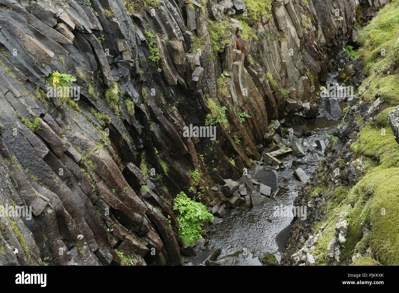 Iceland, basalt columns on a stream bed, pieces in the stream, rain wet ...