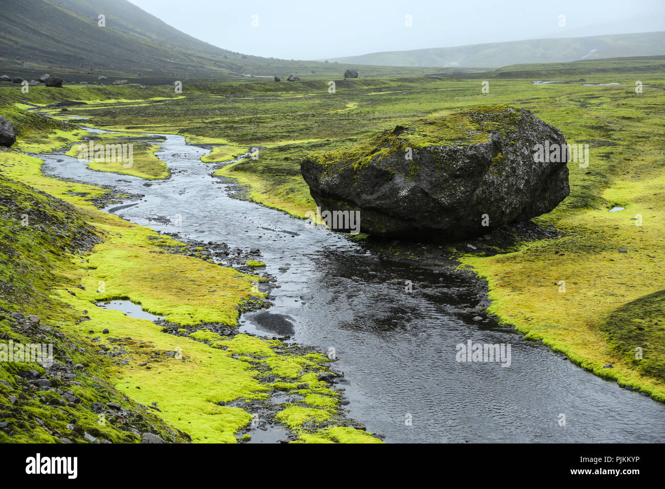 Bilious green hi-res stock photography and images - Alamy
