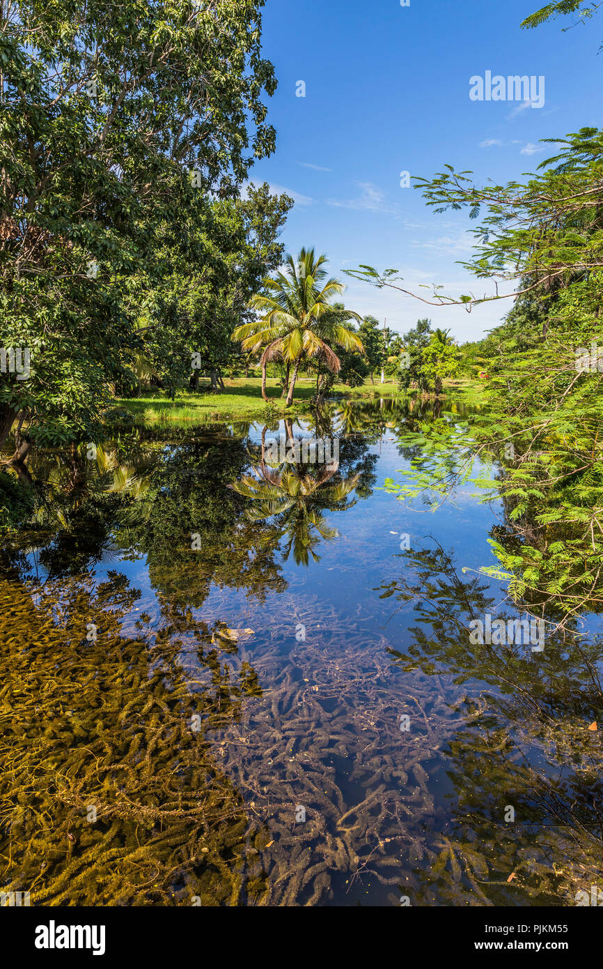 Guama nature reserve hi-res stock photography and images - Alamy