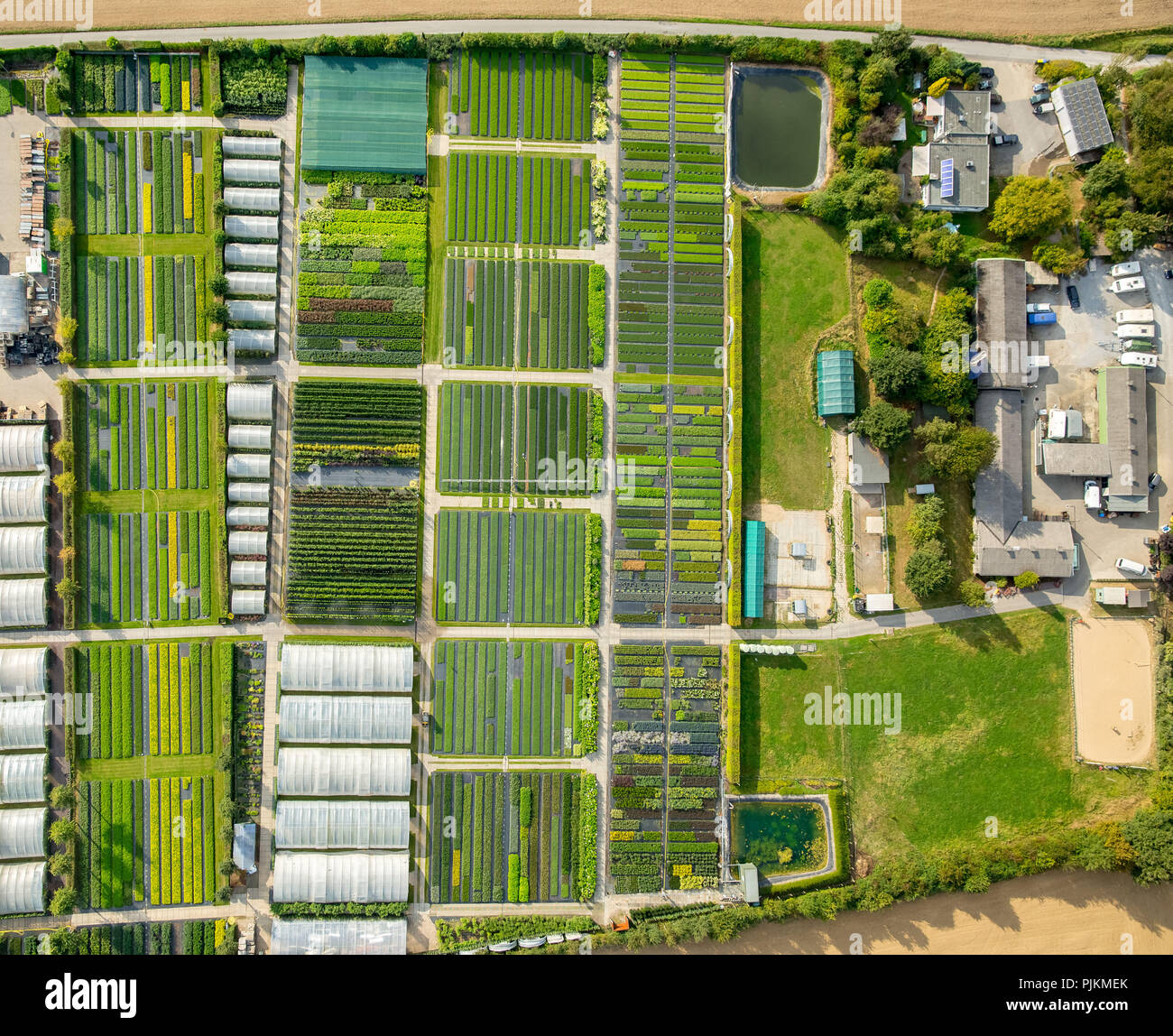 Horticulture hi-res stock photography and images - Alamy