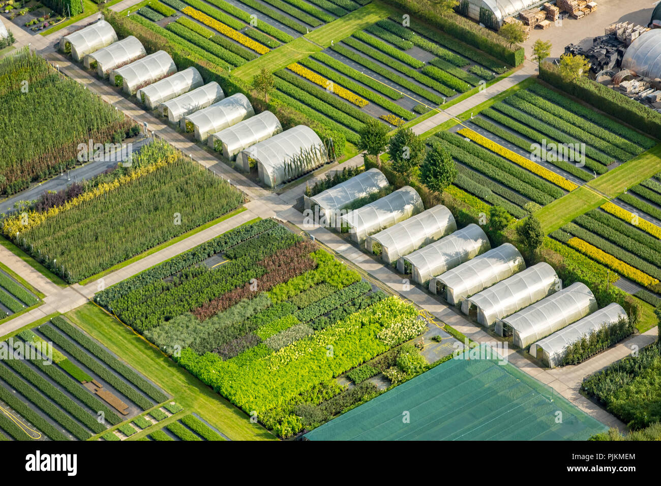 Nursery kunze hi-res stock photography and images - Alamy