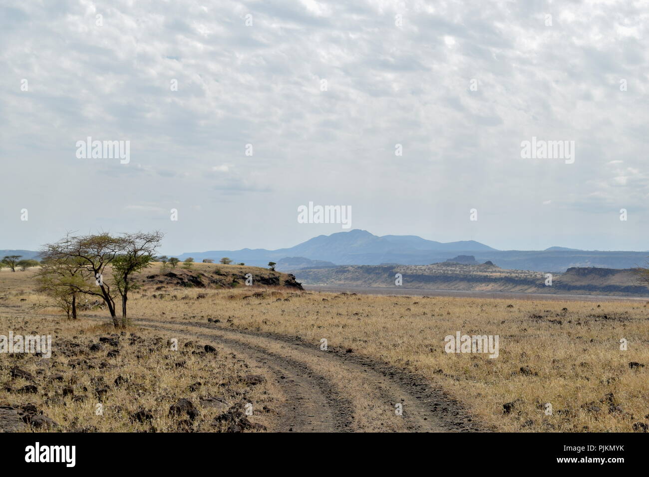 The arid landscapes of Lake Magadi, Kenya Stock Photo - Alamy