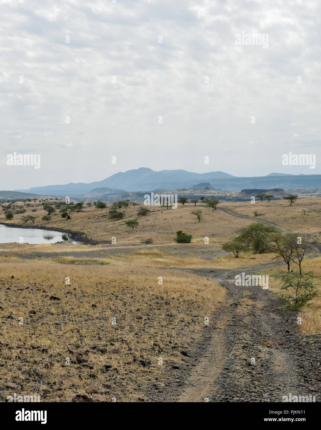 The arid landscapes of Lake Magadi, Kenya Stock Photo - Alamy
