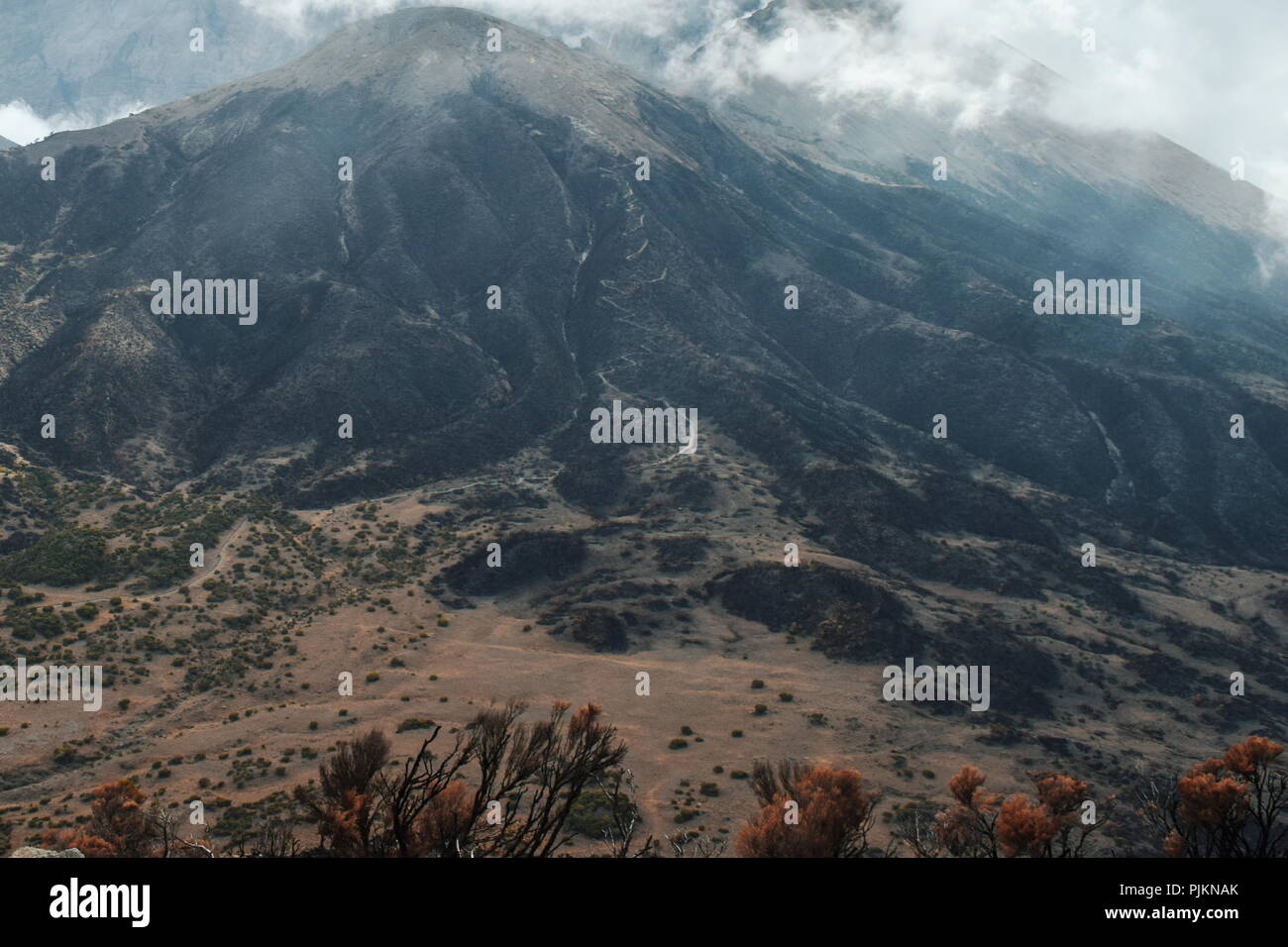 Mount Meru seen from Little Meru, Tanzania Stock Photo - Alamy
