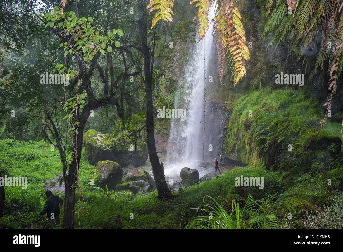 Exploring the waterfalls in Ragia Forest, Aberdare Ranges, Kenya Stock ...