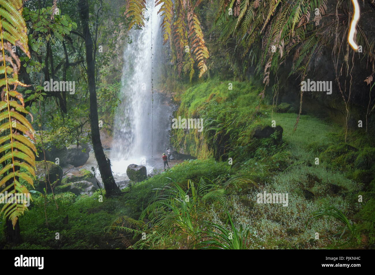 Aberdare Ranges Kenya High Resolution Stock Photography and Images - Alamy