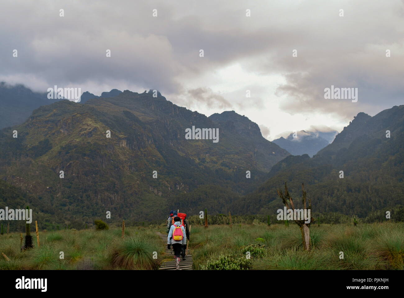 Rwenzori Mountain Range