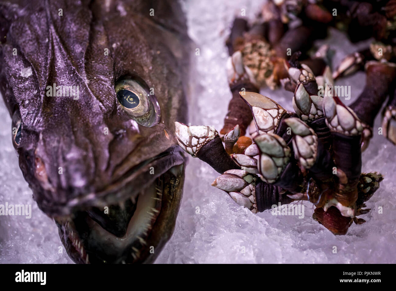 Ice delicacy hi-res stock photography and images - Alamy