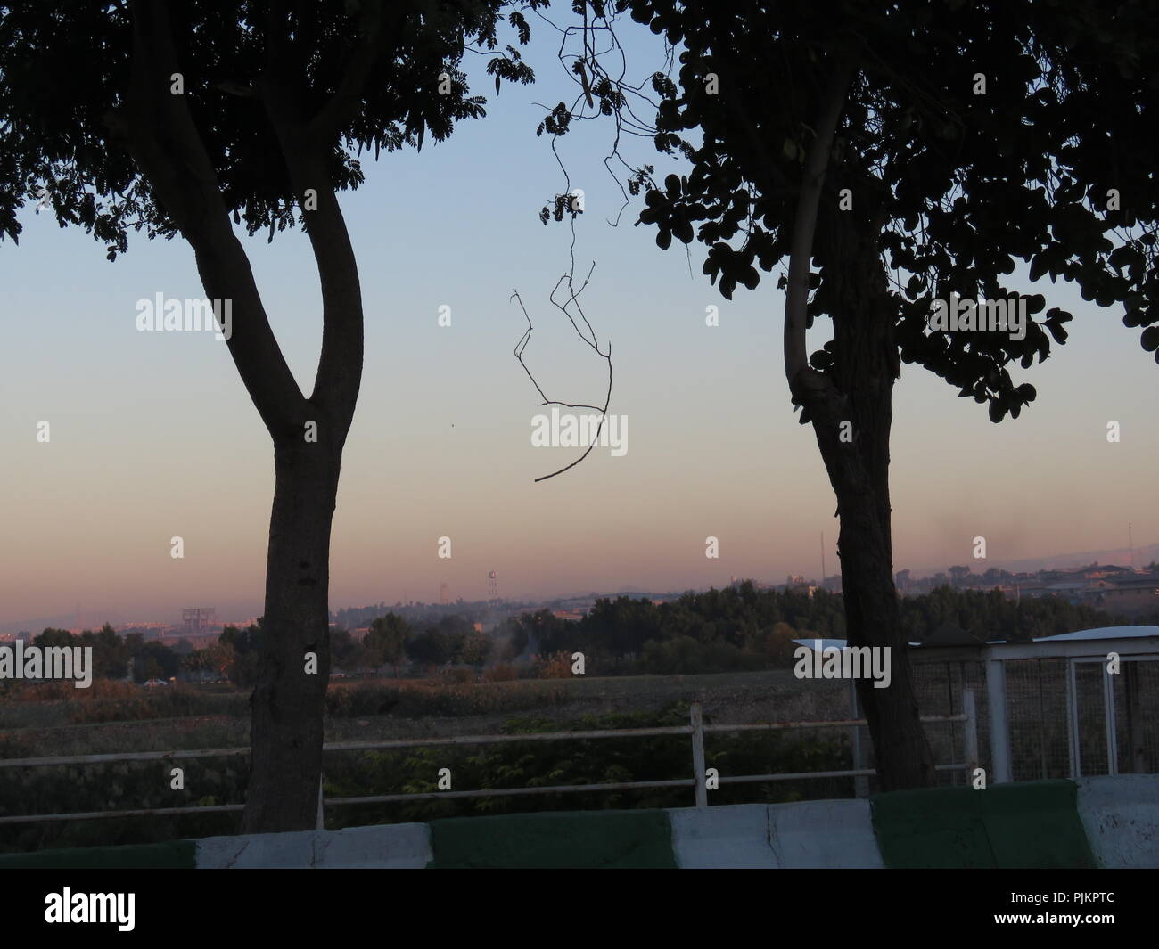 Alone wood in falling Stock Photo - Alamy