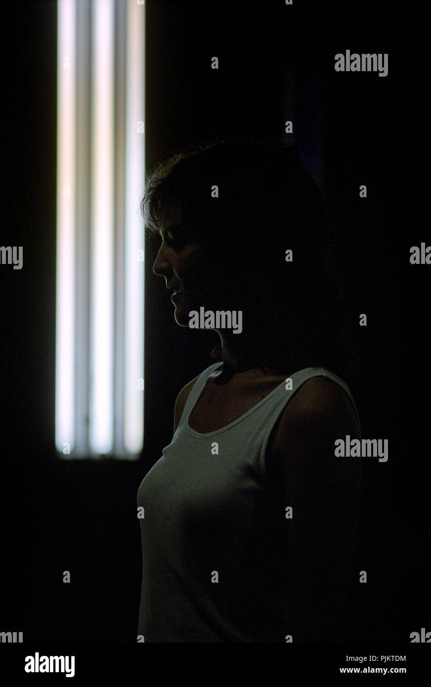 Disco pigs hi-res stock photography and images - Alamy