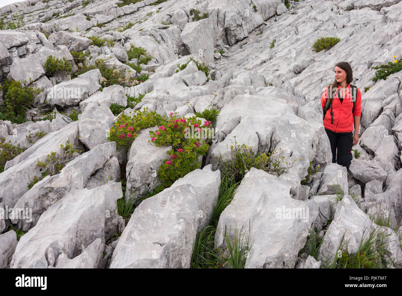 Woman hiking in the karst field Schrattenfluh, landscape in the ...