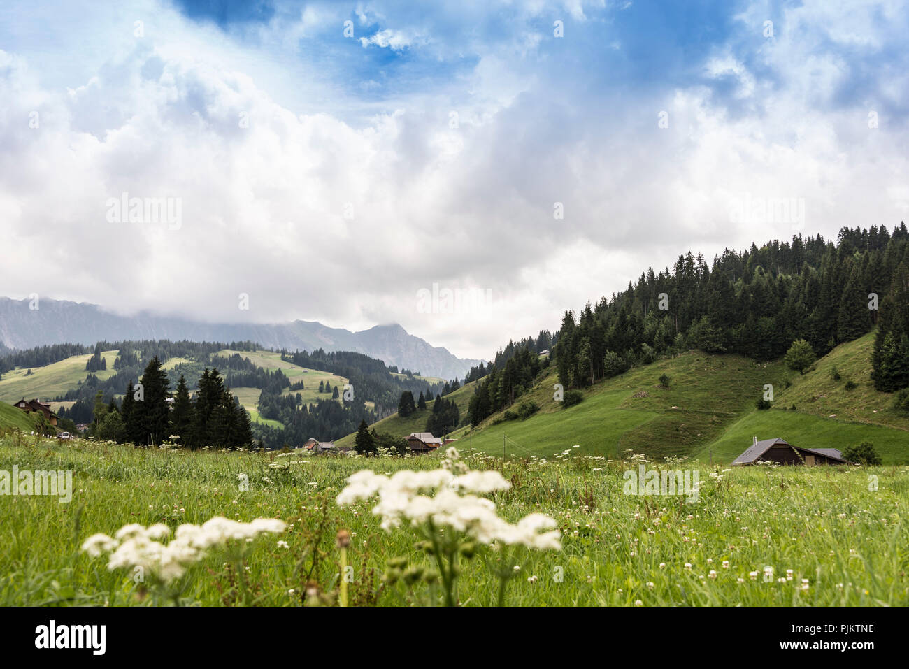Landscape in the Biosphere Reserve Entlebuch, Canton Lucerne ...