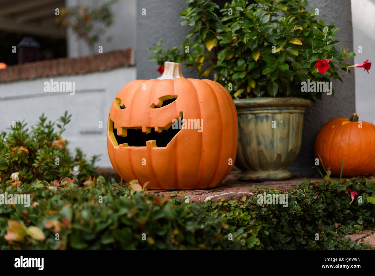 Ghost in front pumpkin hi-res stock photography and images - Alamy