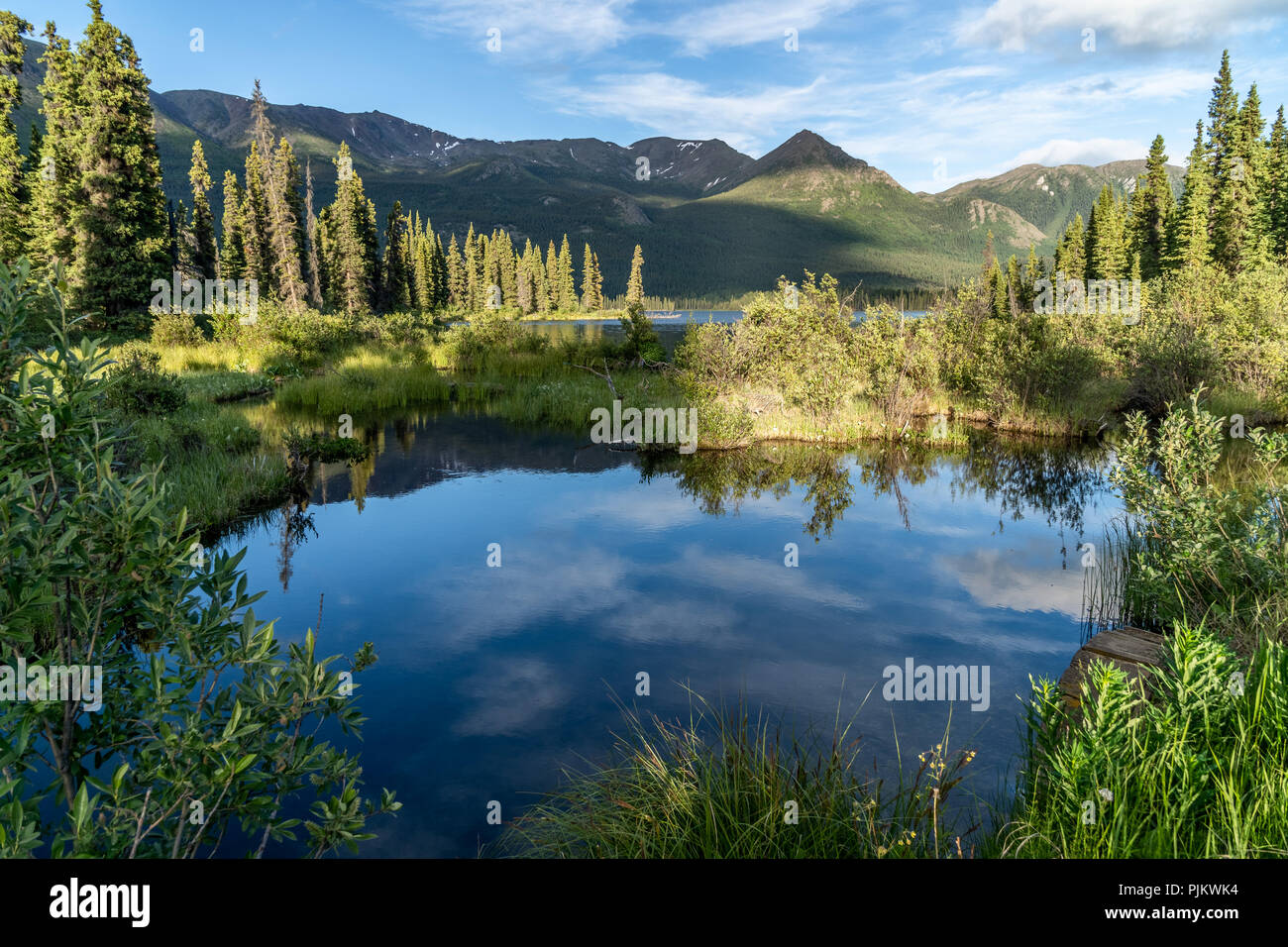 Atlin lake road hi-res stock photography and images - Alamy