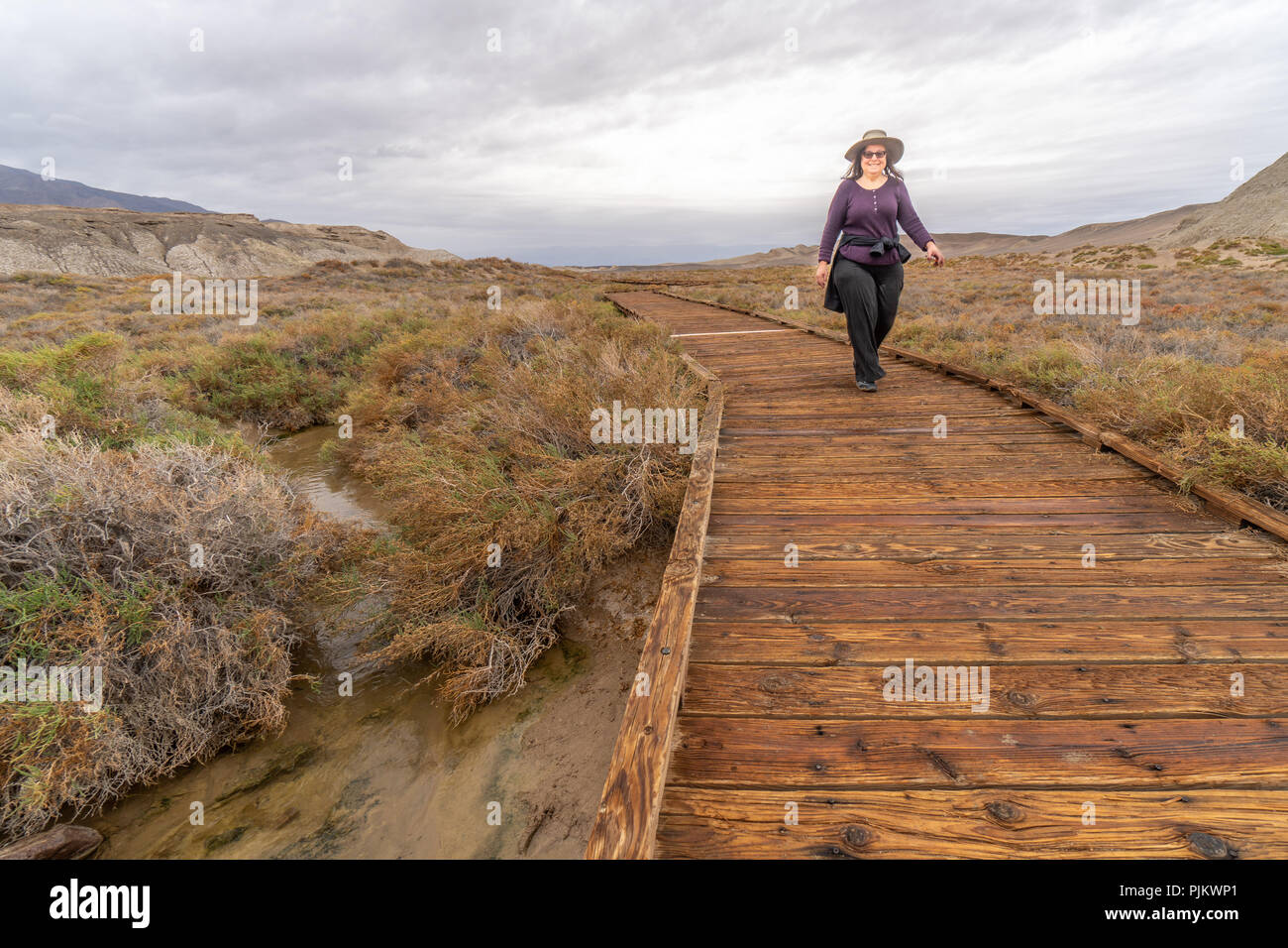 Pupfish hi-res stock photography and images - Alamy