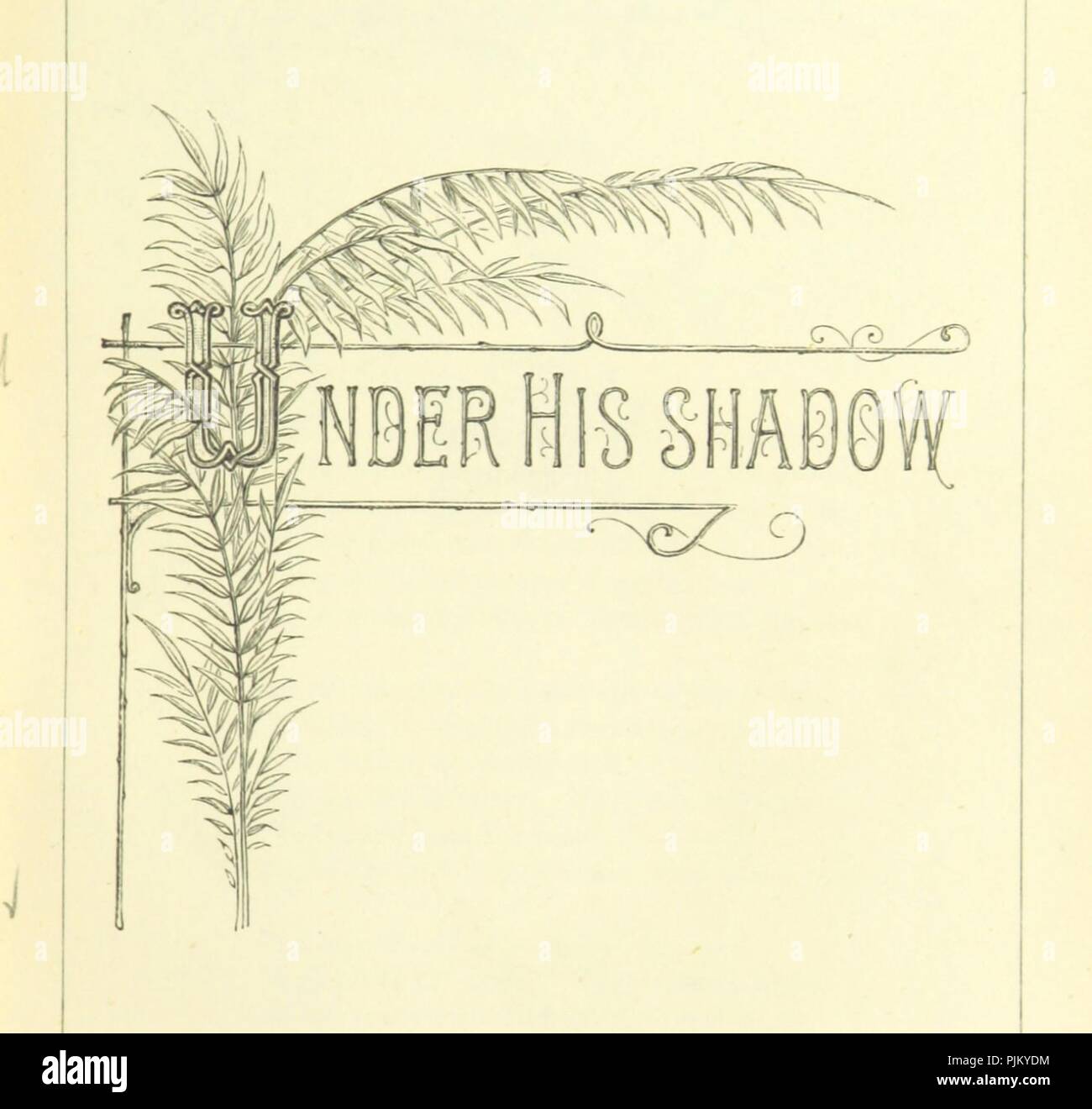 Zenith image hi-res stock photography and images - Alamy