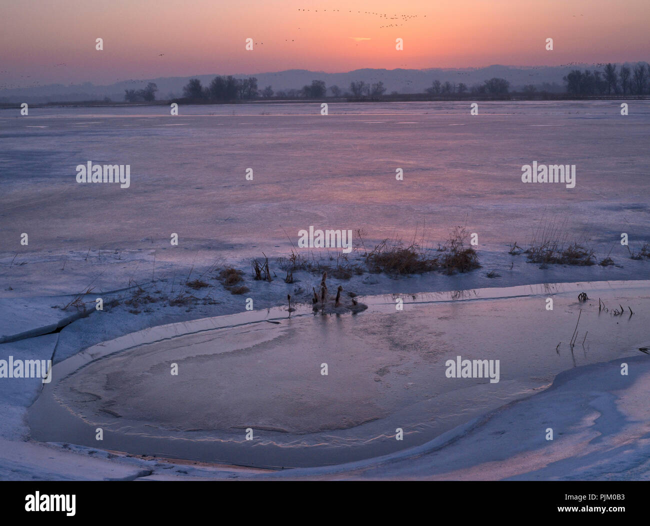 Germany, Brandenburg, Uckermark, Schwedt, Lower Oder Valley National ...