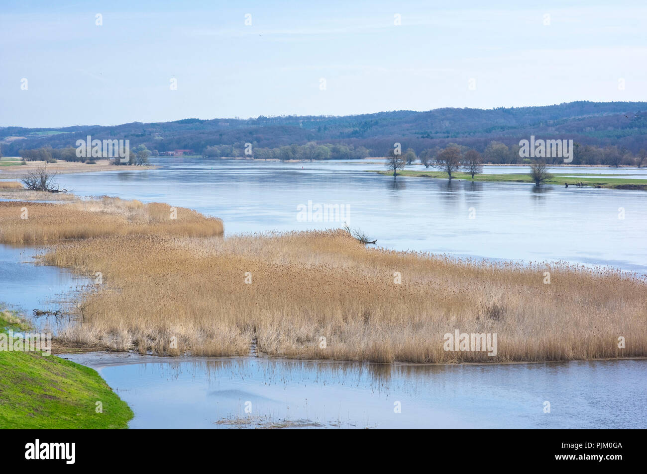 Germany, Brandenburg, Uckermark, Stützkow, Lower Oder Valley National ...