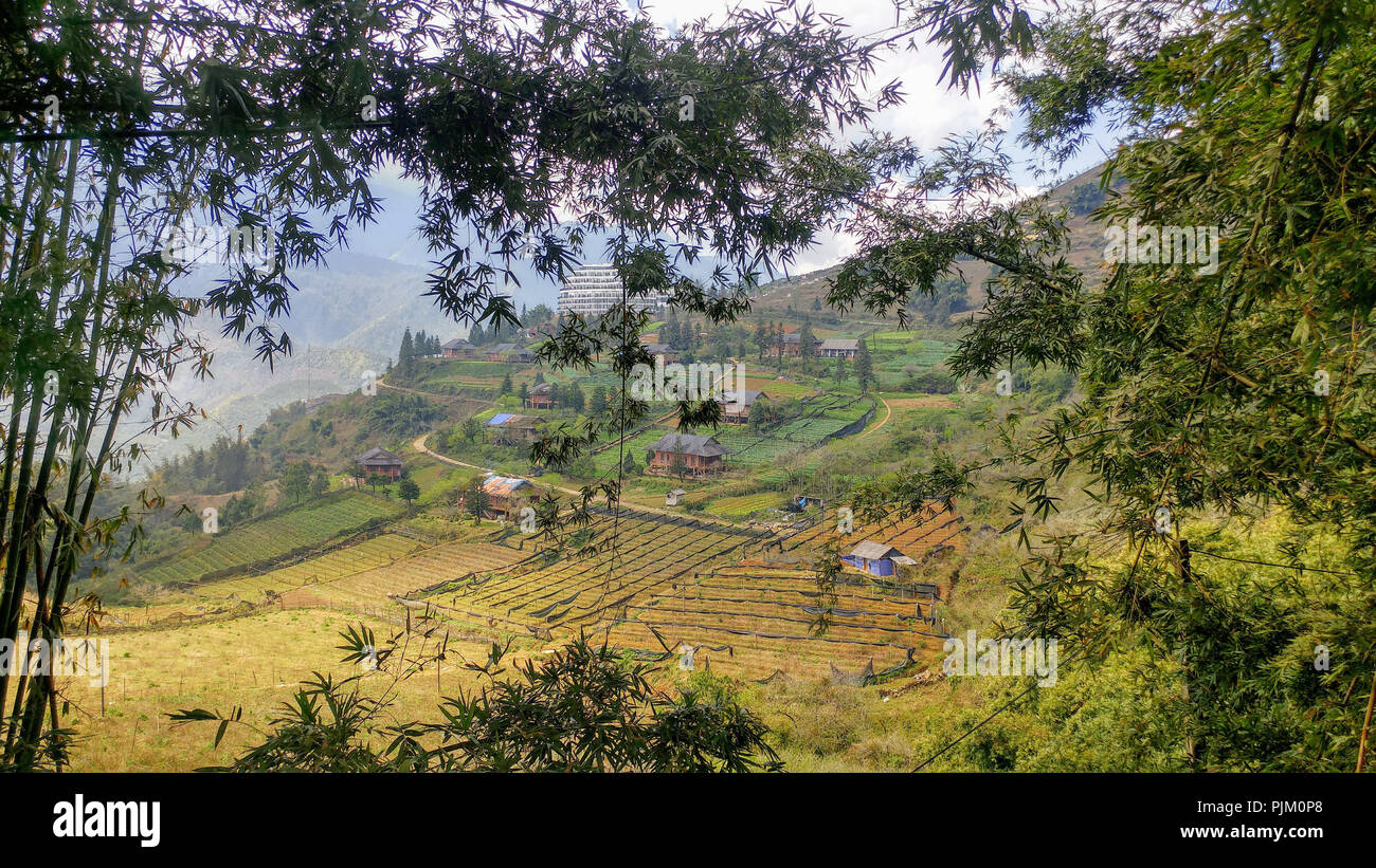 Rice fields of Sapa in Vietnam Stock Photo - Alamy