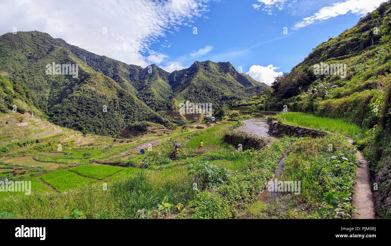 Rice terraces of Banaue on Luzon Island, Philippines Stock Photo - Alamy