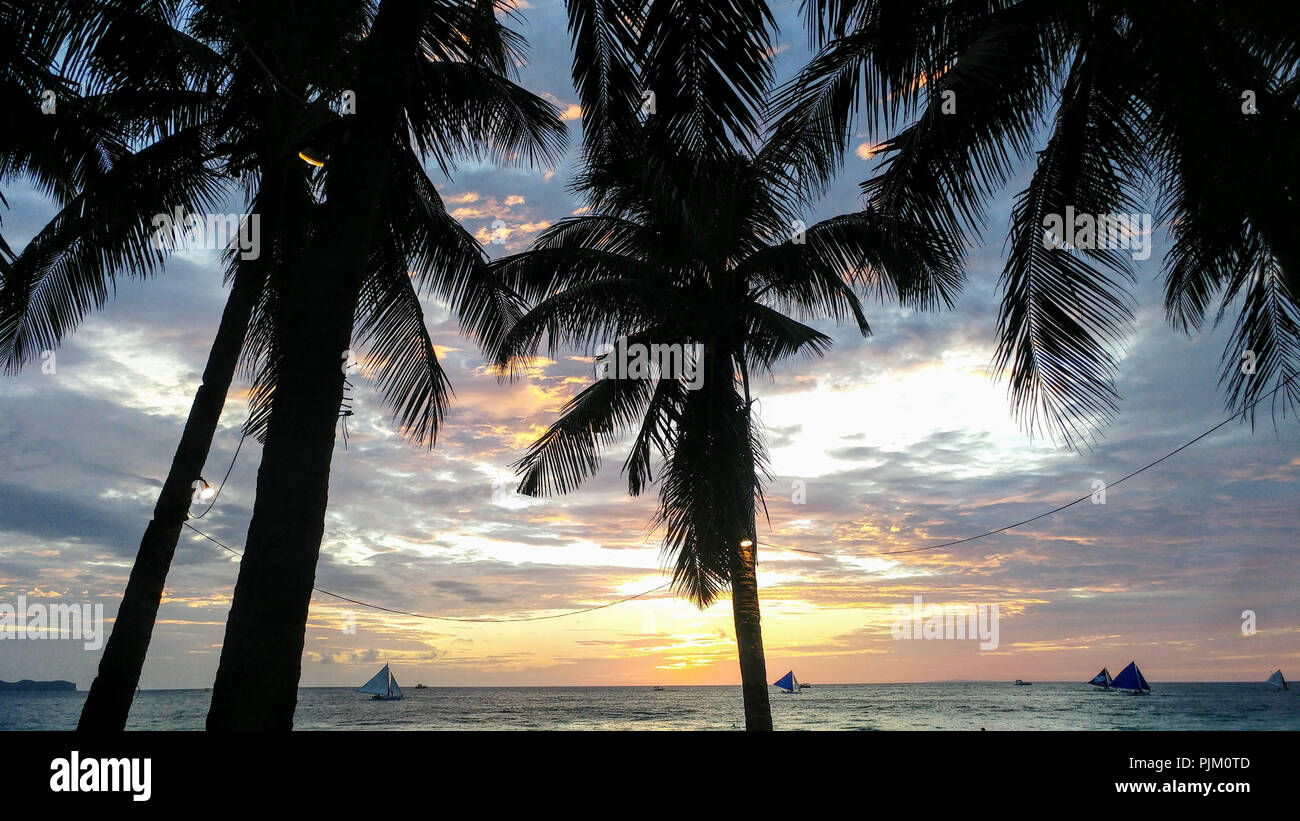 Palm trees by the sea, Boracay - Philippines Stock Photo - Alamy