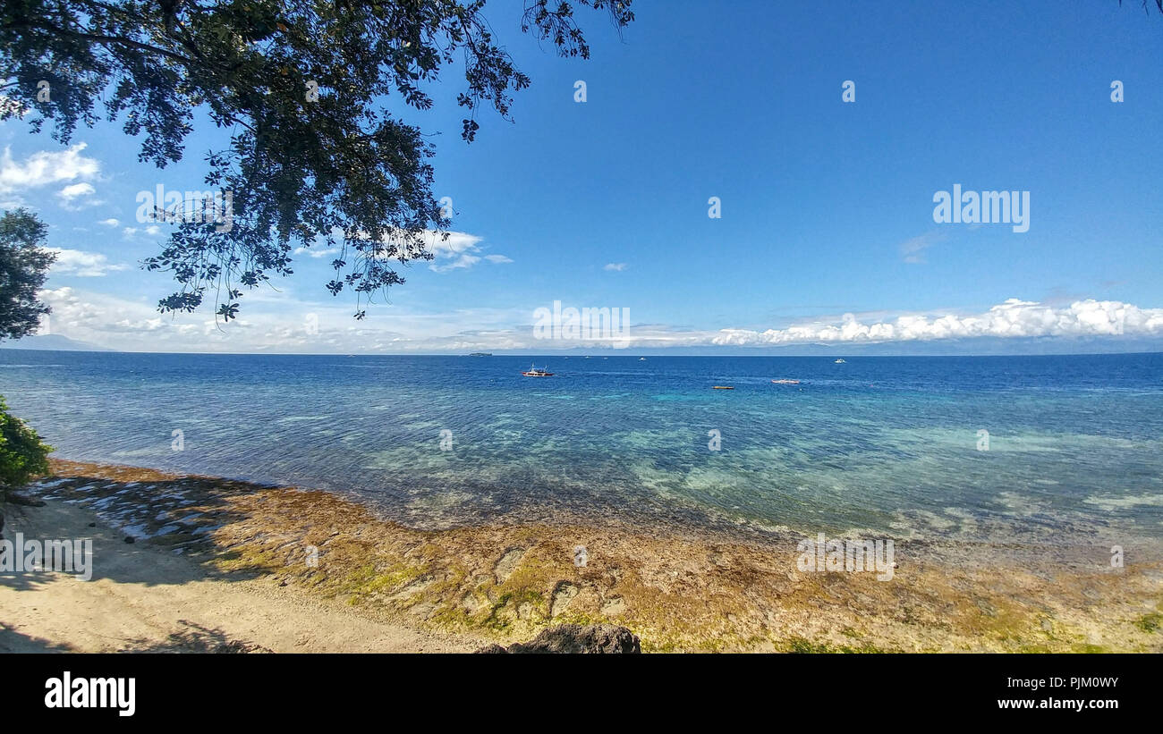 Turquoise blue sea, Cebu, Philippines Stock Photo - Alamy