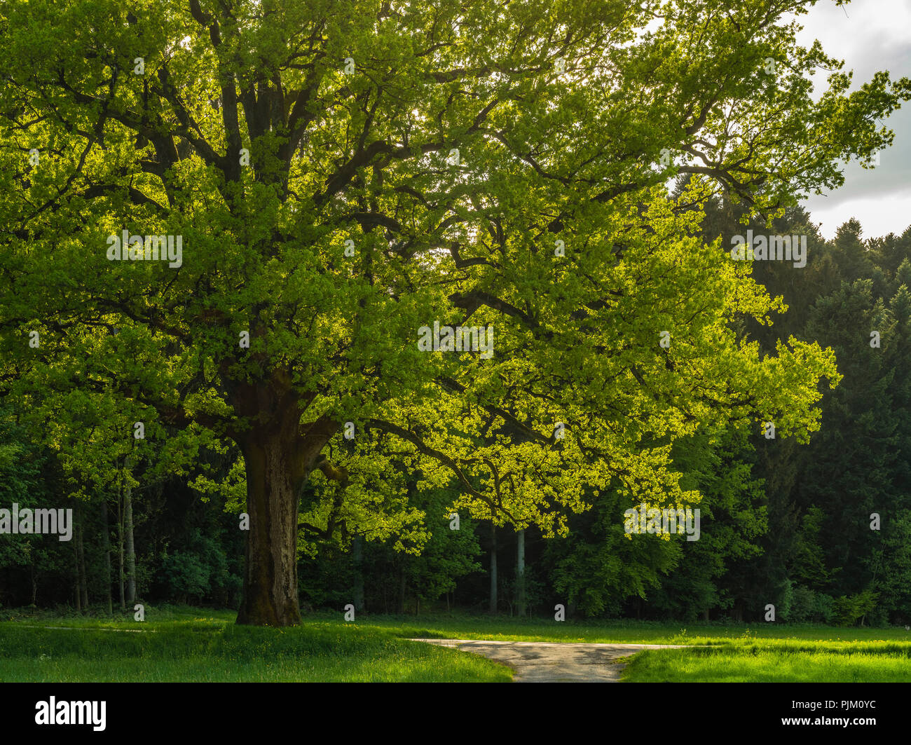 Springy hi-res stock photography and images - Alamy