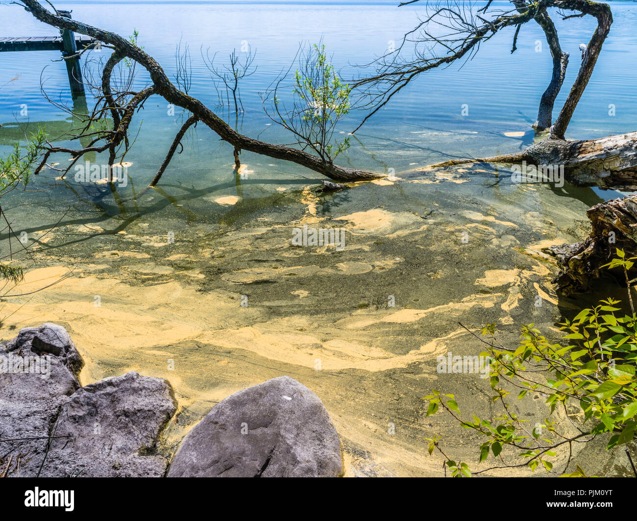 Pattern in the lake by alluvial pollen Stock Photo - Alamy