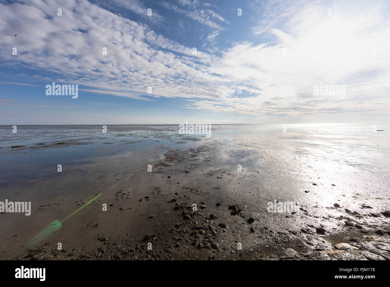 Halligen island and germany hi-res stock photography and images - Alamy