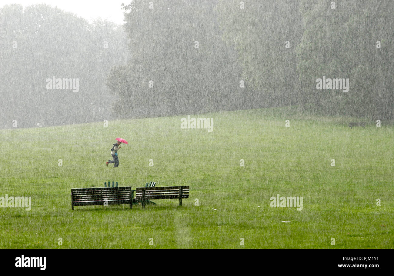 Park, walk in the rain, summer, meadow Stock Photo - Alamy