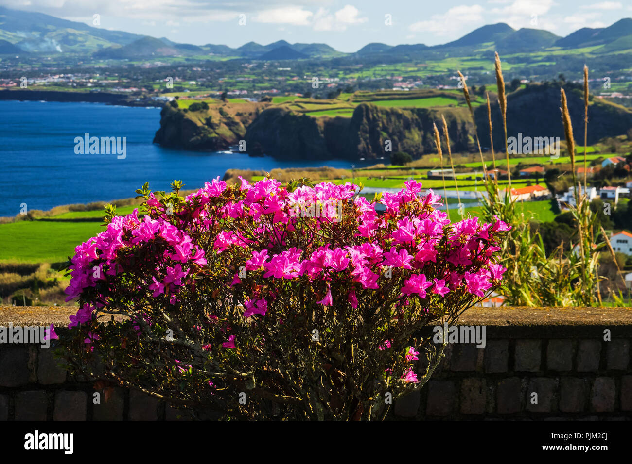 Capelas, Sao Miguel, Azores, Portugal Stock Photo - Alamy